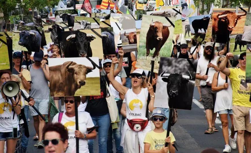 Succès pour la manifestation anticorrida pendant la feria - Colbac